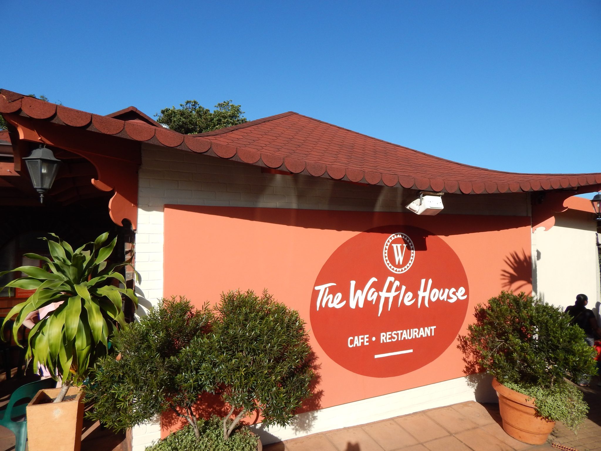 Are these the best waffles in South Africa? - Sightseeing Scientist