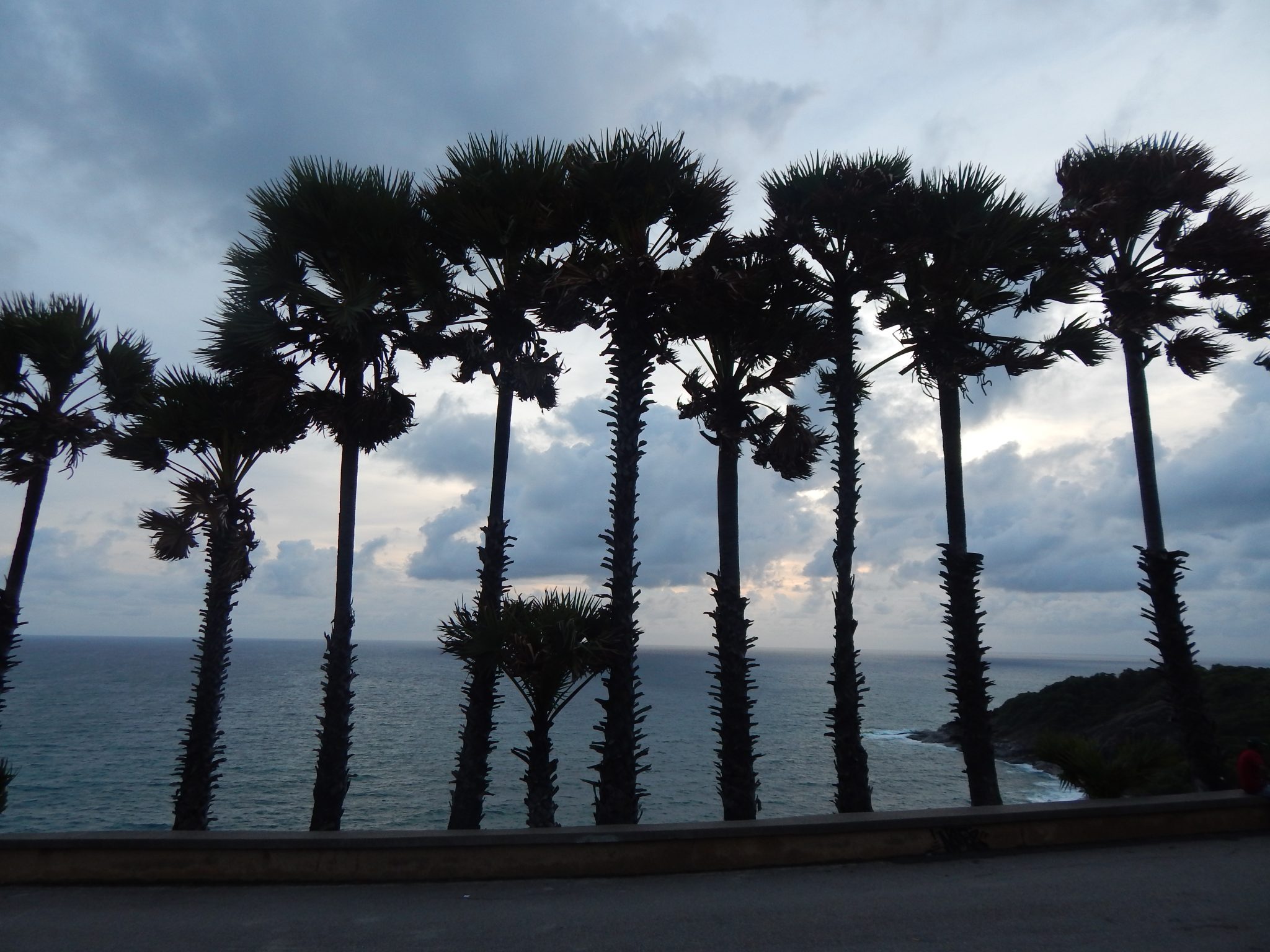 A complete guide to Kata Beach - Sightseeing Scientist