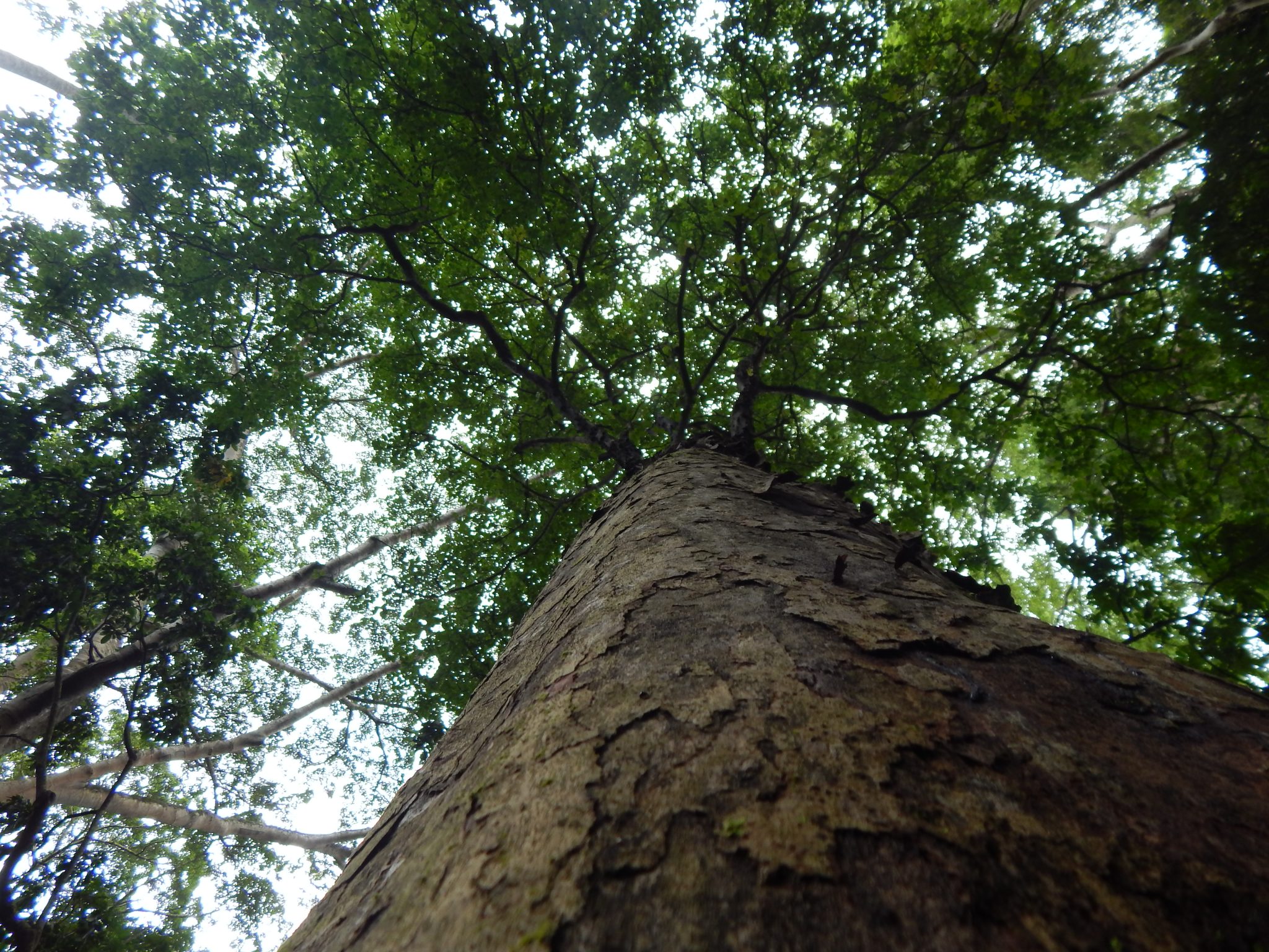 How to spend 48 hours in Ubud - Sightseeing Scientist