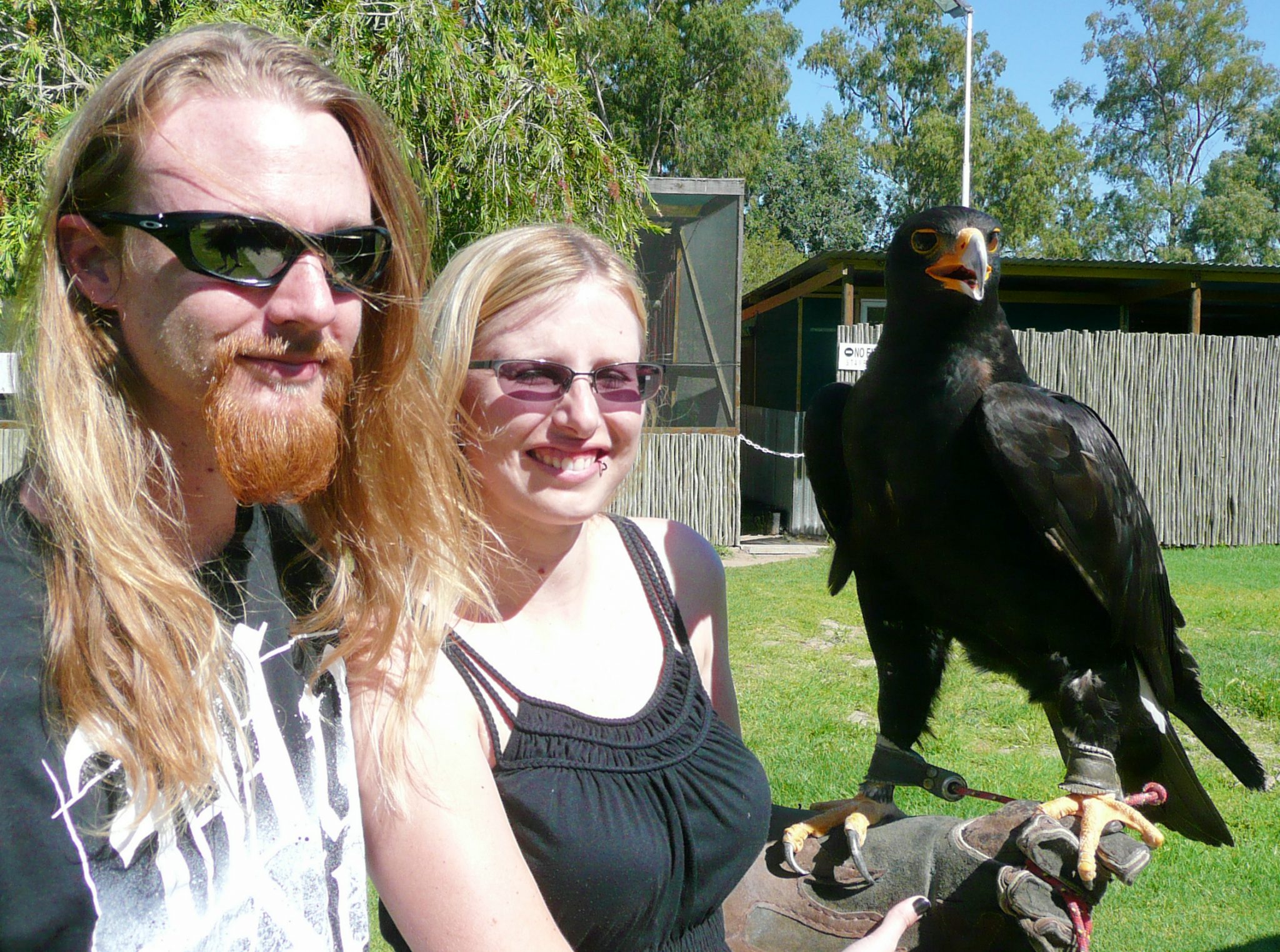 Eagle Encounters - Sightseeing Scientist