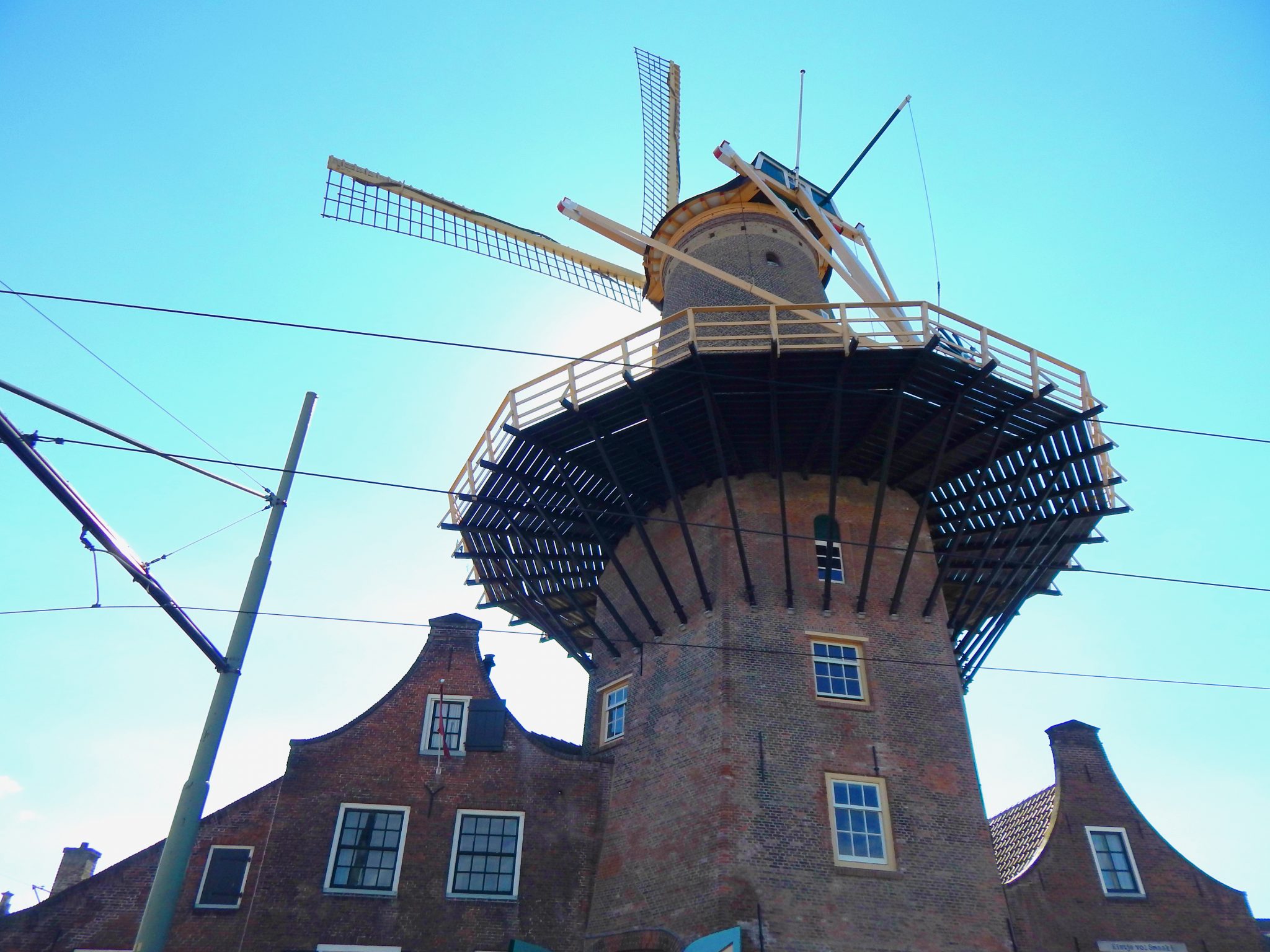 You don't want to miss these activities in Delft - Sightseeing Scientist