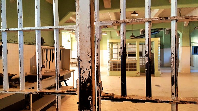 Everything you need to know about visiting Alcatraz - Sightseeing Scientist