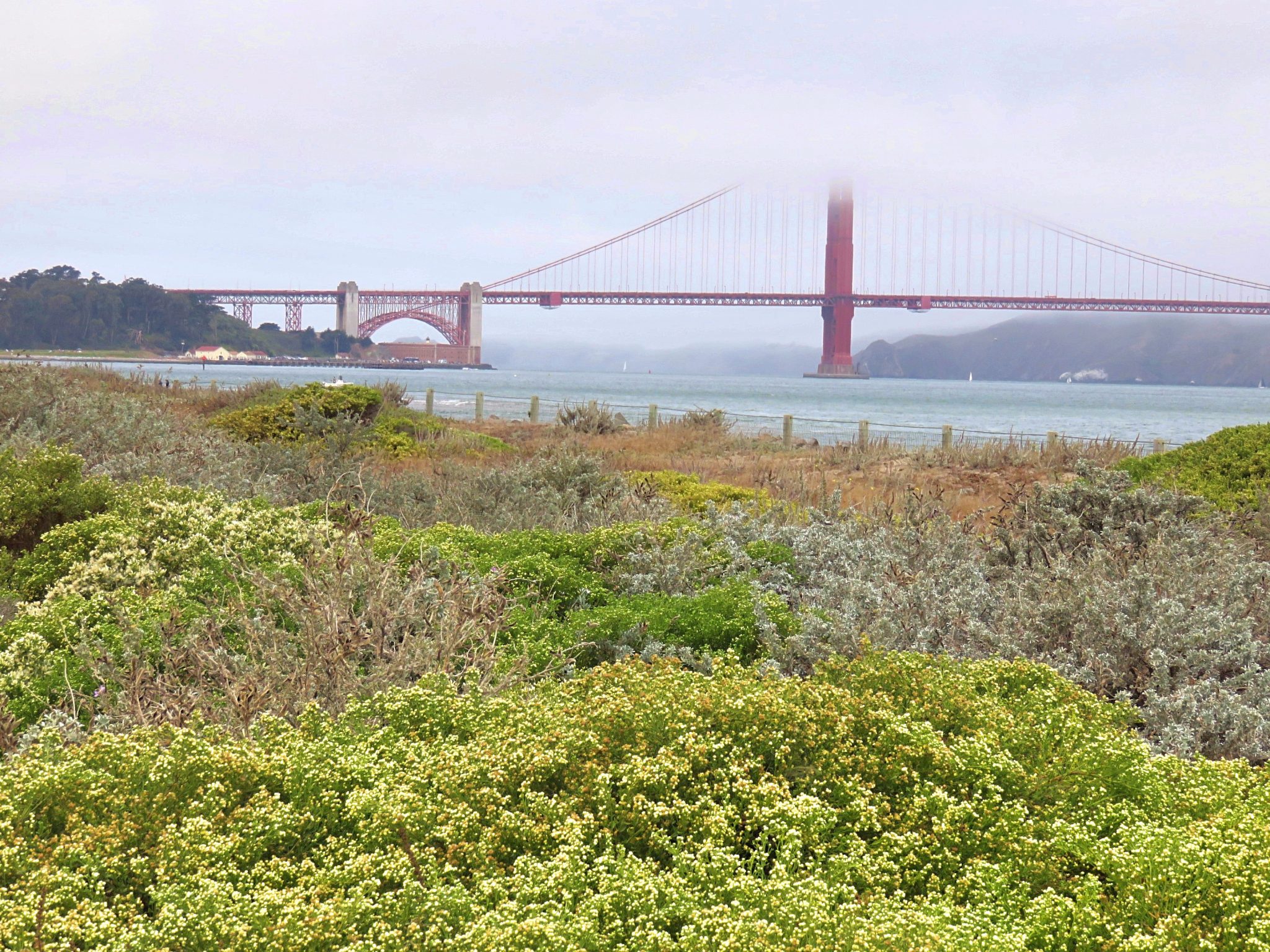 Guide to biking the Golden Gate Bridge - Sightseeing Scientist