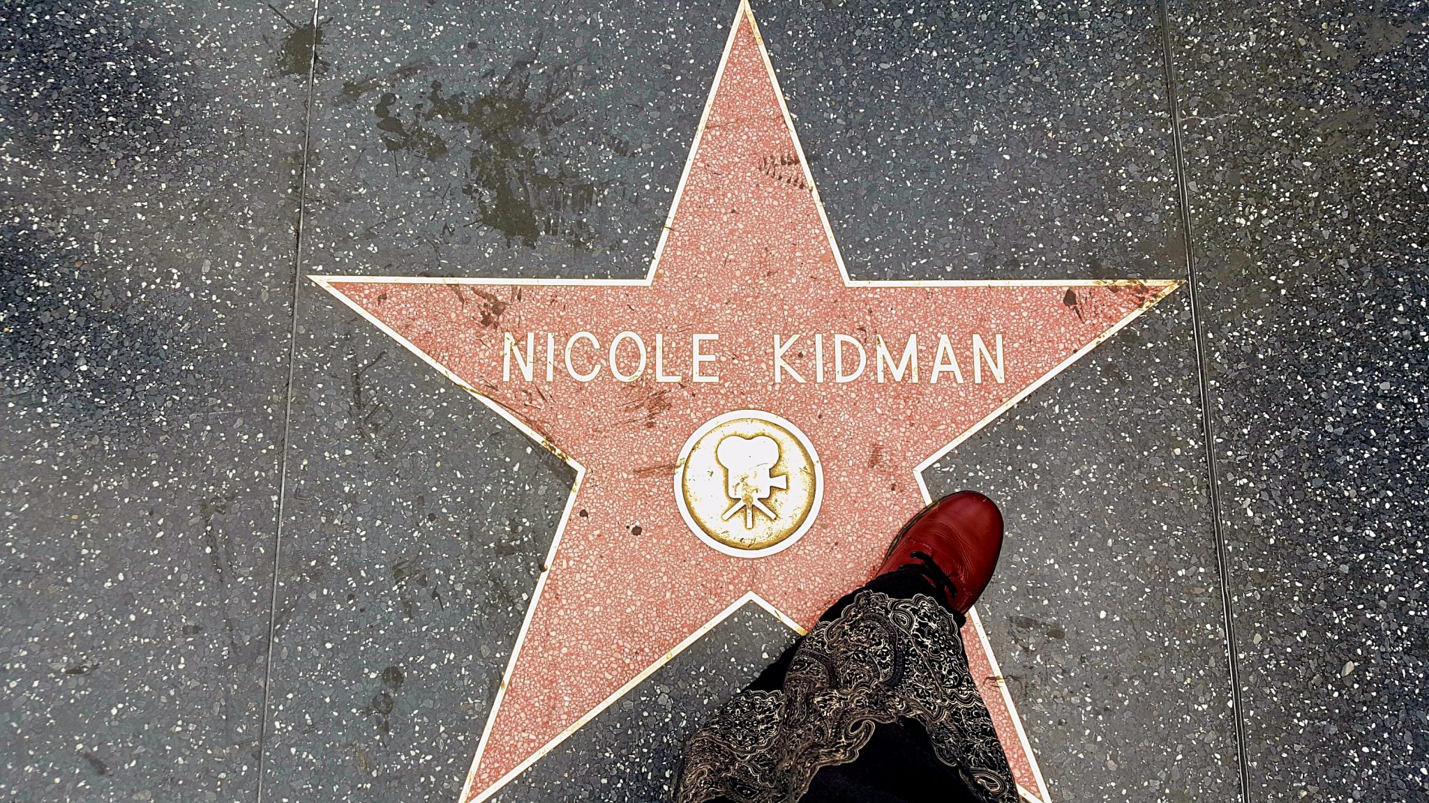 My favourite stars on the Hollywood Walk of Fame - Sightseeing Scientist
