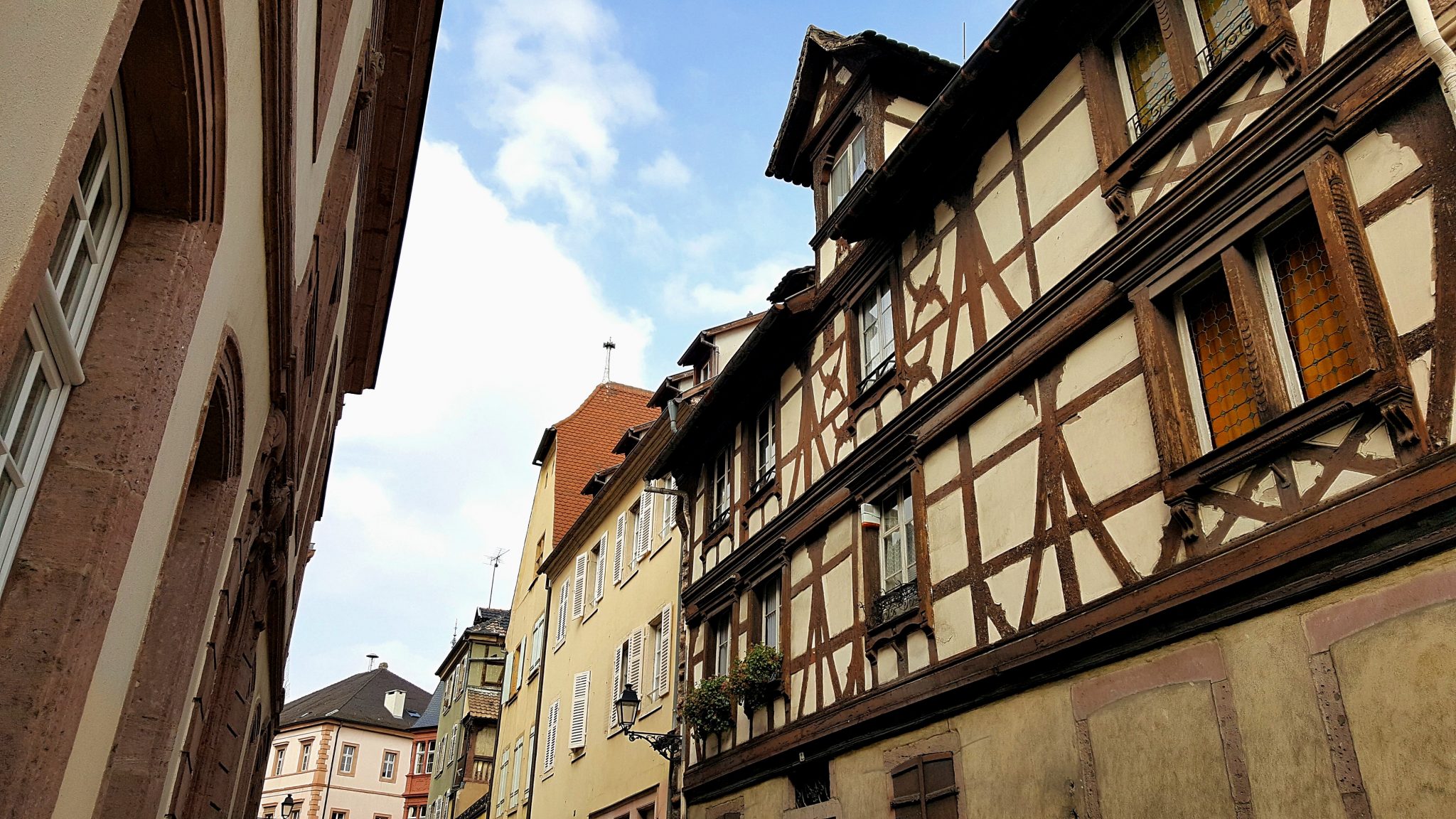 You won’t believe how beautiful Colmar is! - Sightseeing Scientist