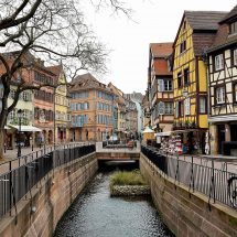 Sightseeing Scientist - Travel Musings of A Wandering Zoologist