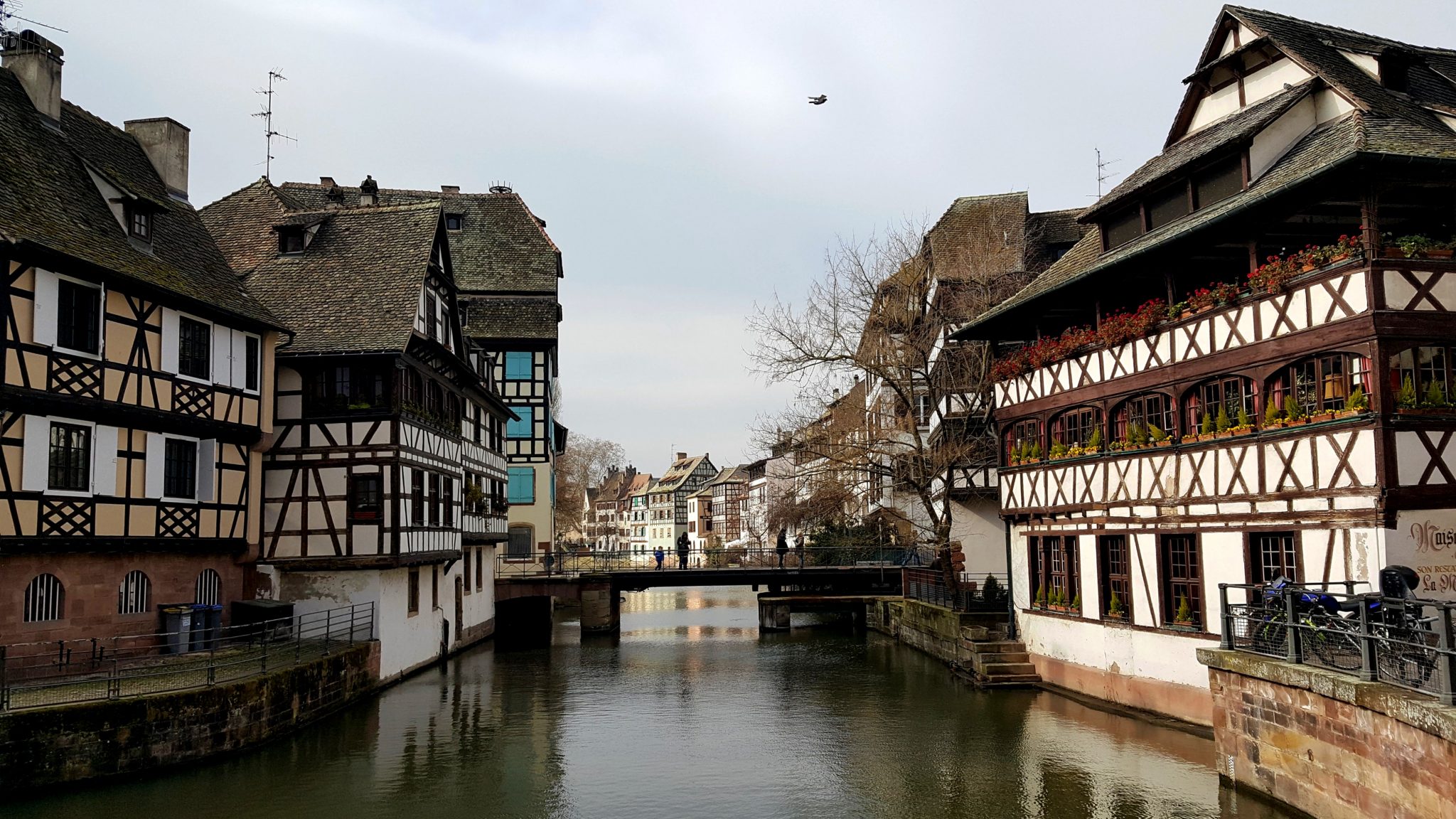 My Strasbourg photo diary - Sightseeing Scientist
