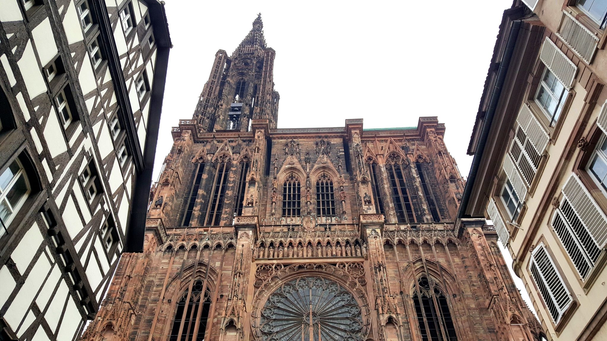 My Strasbourg photo diary - Sightseeing Scientist